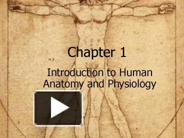Introduction to Human Anatomy and Physiology presentation | free to view
