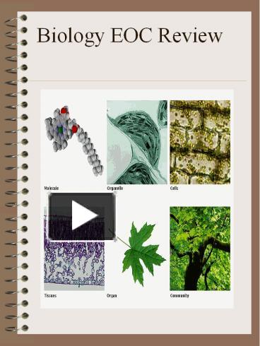 Biology EOC Review presentation | free to download