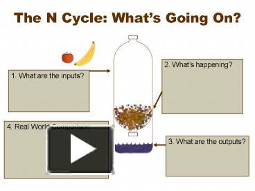 PPT – The N Cycle: What PowerPoint presentation | free to download - id ...