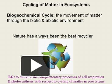 Cycling of Matter in Ecosystems presentation | free to view