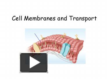 Cell Membranes and Transport presentation | free to view