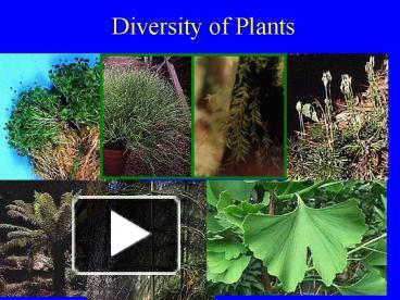 Diversity of Plants presentation | free to view