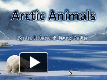 PPT – Arctic Animals PowerPoint presentation | free to download - id ...