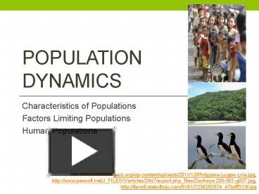 PPT – Population Dynamics PowerPoint presentation | free to download ...
