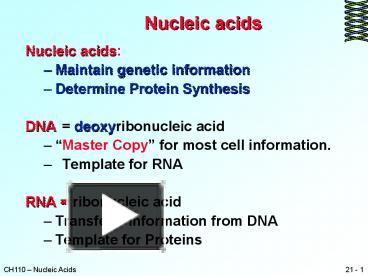 Nucleic acids presentation | free to view