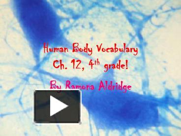 PPT – Human Body Vocabulary Ch. 12, 4th grade! PowerPoint presentation ...
