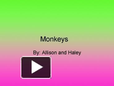 Monkeys presentation | free to view