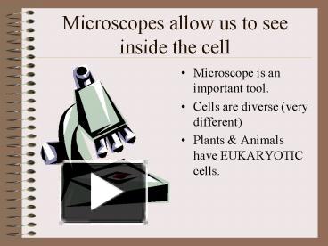 PPT – Microscopes allow us to see inside the cell PowerPoint ...