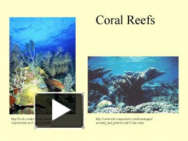Coral Reefs presentation | free to view