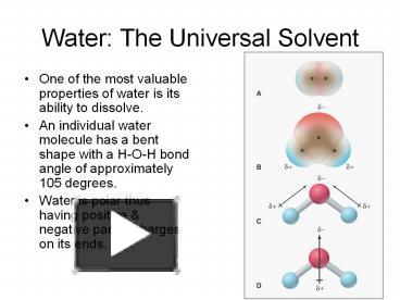Water: The Universal Solvent presentation | free to download