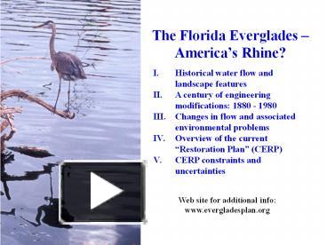 PPT – The Florida Everglades PowerPoint presentation | free to download ...