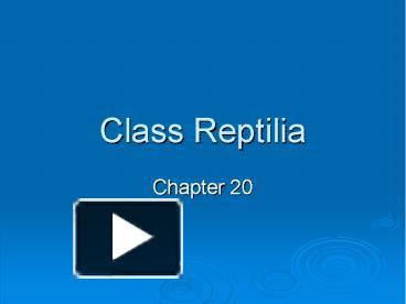 PPT – Class Reptilia PowerPoint presentation | free to download - id ...