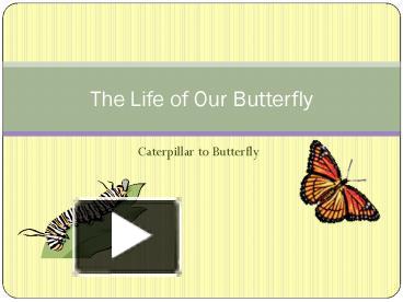 Caterpillar to Butterfly presentation | free to view