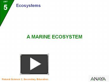 PPT – A MARINE ECOSYSTEM PowerPoint presentation | free to download ...