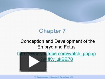 Conception and Development of the Embryo and Fetus presentation | free ...