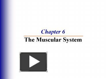 Chapter 6 The Muscular System presentation | free to view