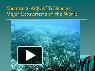 PPT – Chapter 6-AQUATIC Biomes Major Ecosystems of the World PowerPoint ...