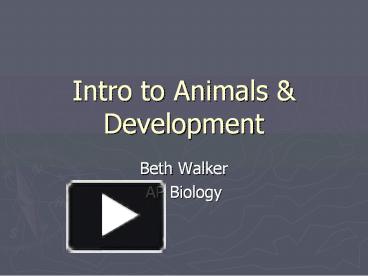 Intro to Animals presentation | free to view