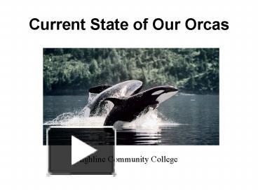 PPT – Current State of Our Orcas PowerPoint presentation | free to view ...