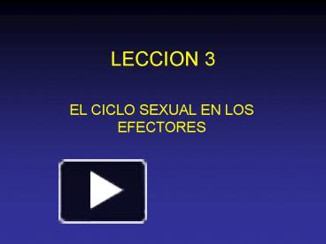 PPT – LECCION 3 PowerPoint presentation | free to download - id: 54e70c ...