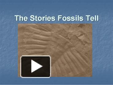 PPT – The Stories Fossils Tell PowerPoint presentation | free to ...