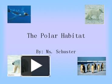 The Polar Habitat presentation | free to view
