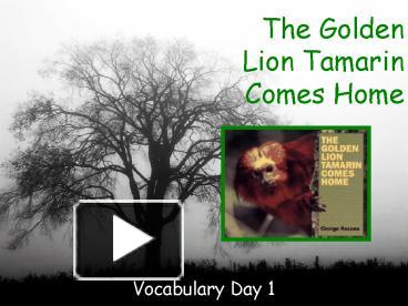 PPT – The Golden Lion Tamarin Comes Home PowerPoint presentation | free ...