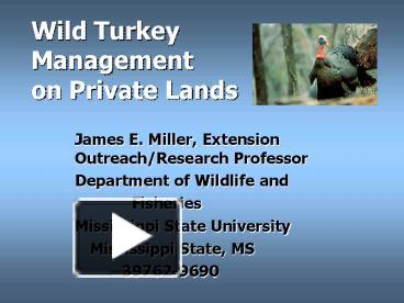 PPT – Wild Turkey Management on Private Lands PowerPoint presentation ...