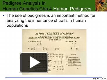 PPT – Pedigree Analysis in Human Genetics Chp.4 Human Pedigrees ...
