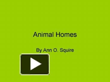 Animal Homes presentation | free to download