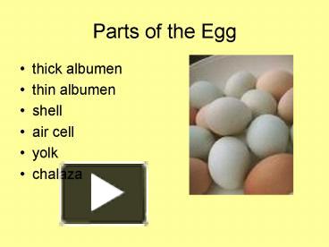 Parts of the Egg presentation | free to view