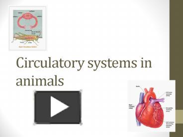 Circulatory systems in animals presentation | free to view
