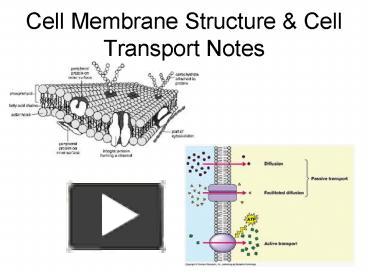 Cell Membrane Structure presentation | free to view