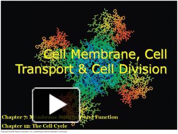 Cell Membrane, Cell Transport presentation | free to download