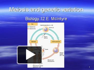 Meiosis and genetic variation presentation | free to view