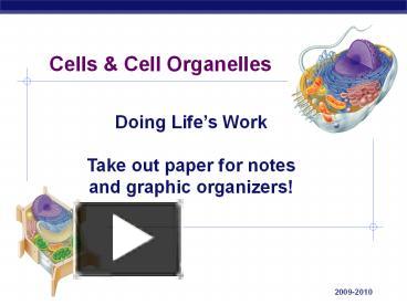 PPT – Tour of Cell Organelles PowerPoint presentation | free to ...