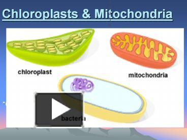 Chloroplasts presentation | free to download