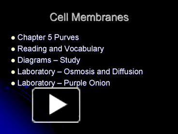 PPT – Cell Membranes PowerPoint presentation | free to view - id ...