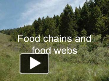 Food chains and food webs presentation | free to download