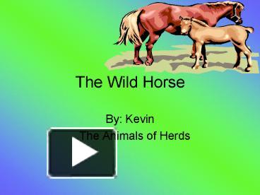 PPT – The Wild Horse PowerPoint presentation | free to view - id: 57593 ...