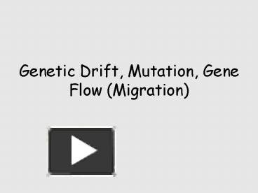 PPT – Genetic Drift, Mutation, Gene Flow Migration PowerPoint ...