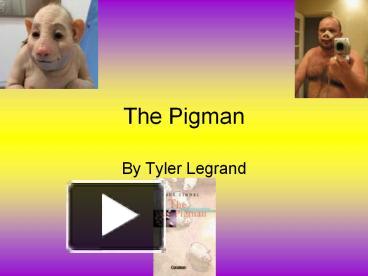 PPT – The Pigman PowerPoint presentation | free to download - id: 583b8 ...
