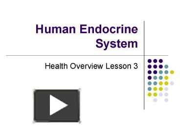 PPT – Human Endocrine System PowerPoint presentation | free to view ...