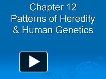 Chapter 12 Patterns of Heredity presentation | free to view