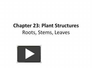 PPT – Chapter 23: Plant Structures Roots, Stems, Leaves PowerPoint ...