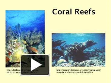 Coral Reefs presentation | free to download