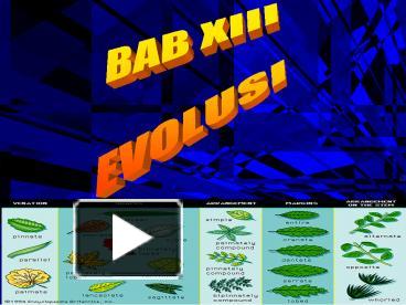 BAB XIII presentation | free to download