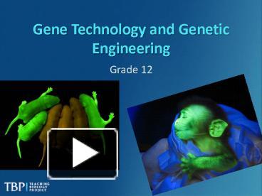 Gene Technology and Genetic Engineering presentation | free to view