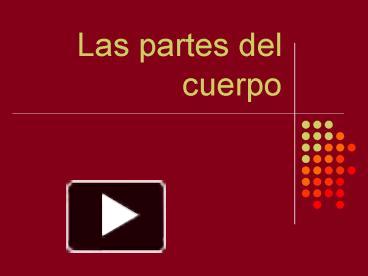 PPT – Las partes del cuerpo PowerPoint presentation | free to view - id ...