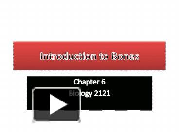 Introduction to Bones presentation | free to view